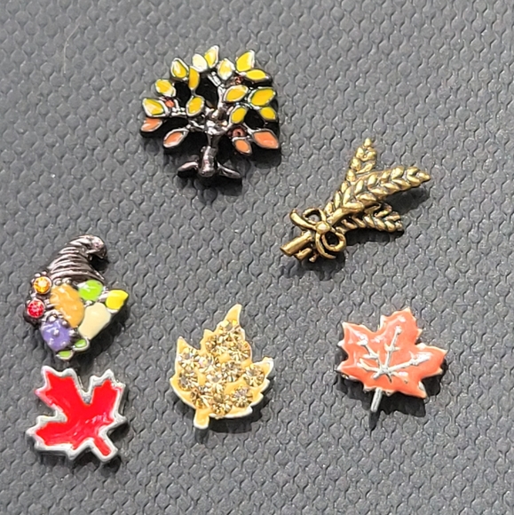 Origami Owl | Jewelry | Origami Owl 6 Fall Charms | Poshmark